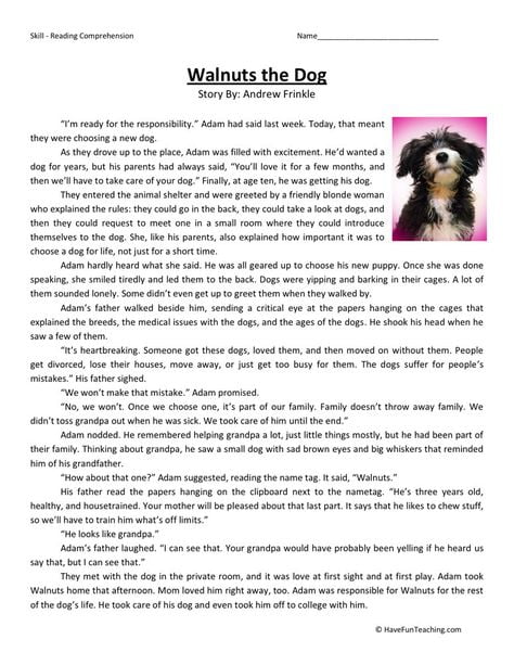 Walnuts The Dog Reading Comprehension Worksheets - WorksheetsCity