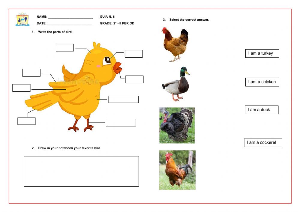 Birds Worksheets - WorksheetsCity