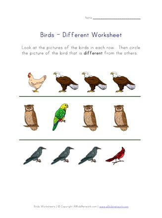 Birds Worksheets - WorksheetsCity