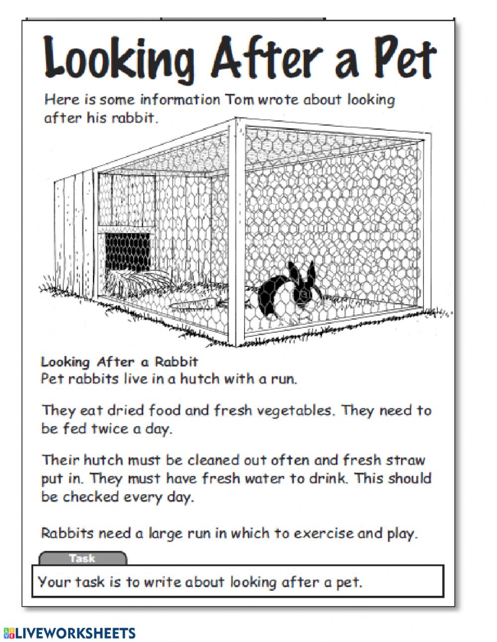 You Write The Story Rabbit Picture Worksheets - WorksheetsCity