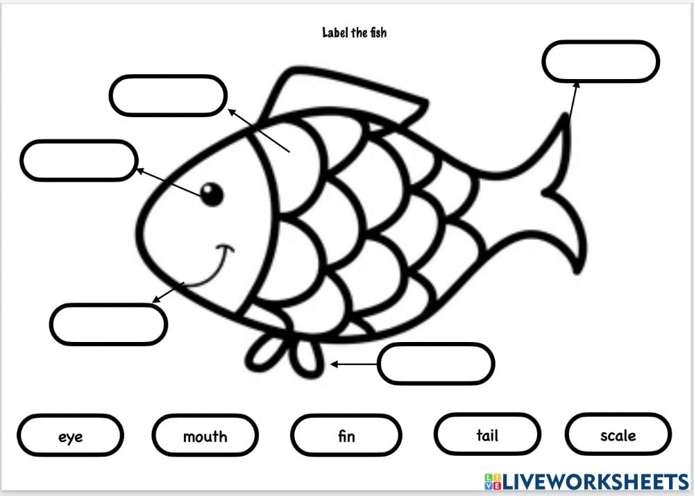Fish Worksheets - WorksheetsCity