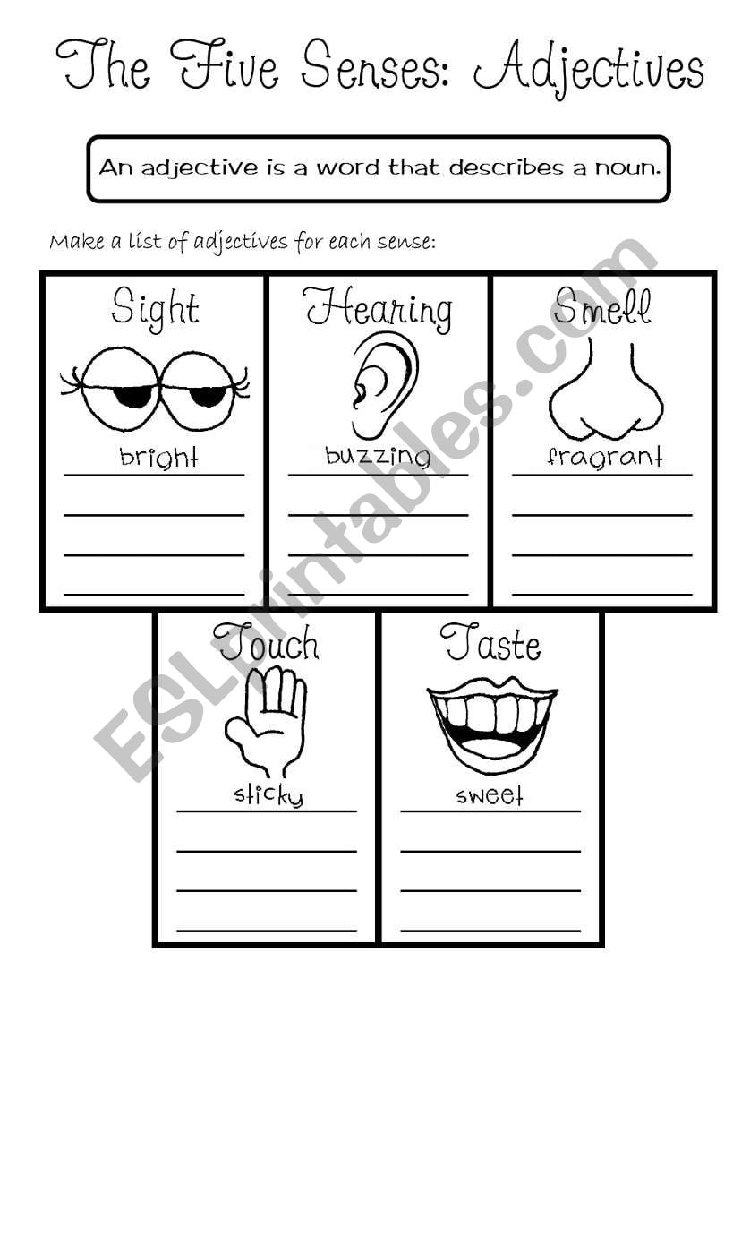 Adjective Five Senses Worksheets - WorksheetsCity
