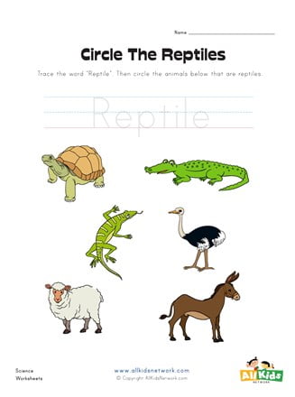 Reptiles Worksheets - WorksheetsCity