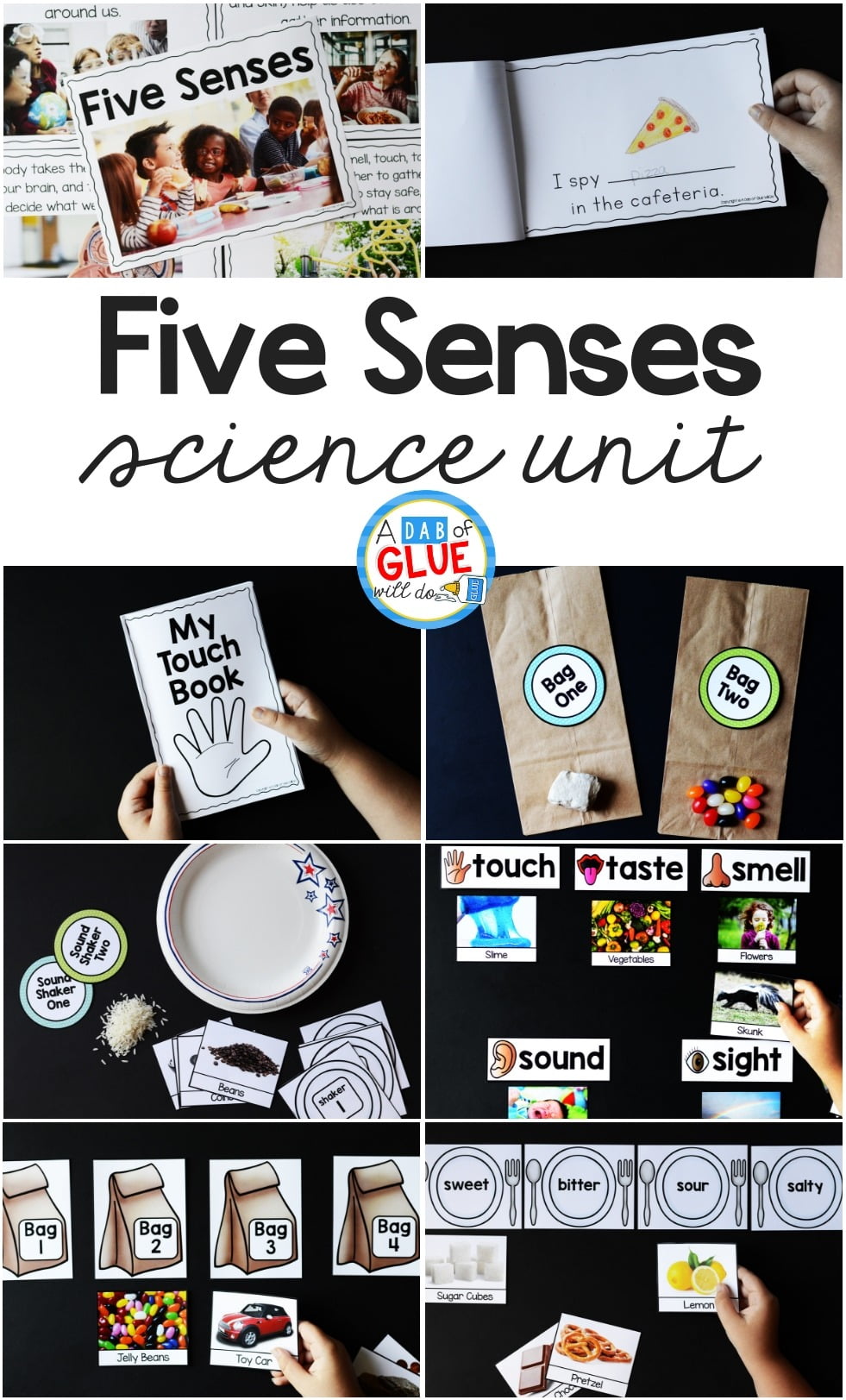What Is In The Bag? Five Senses Worksheets - WorksheetsCity