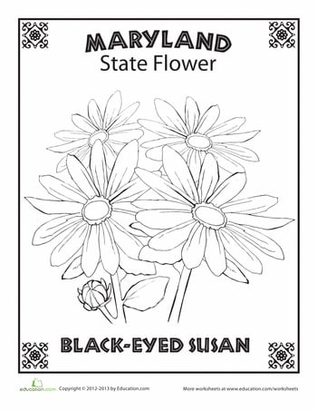 Maryland Worksheets - WorksheetsCity