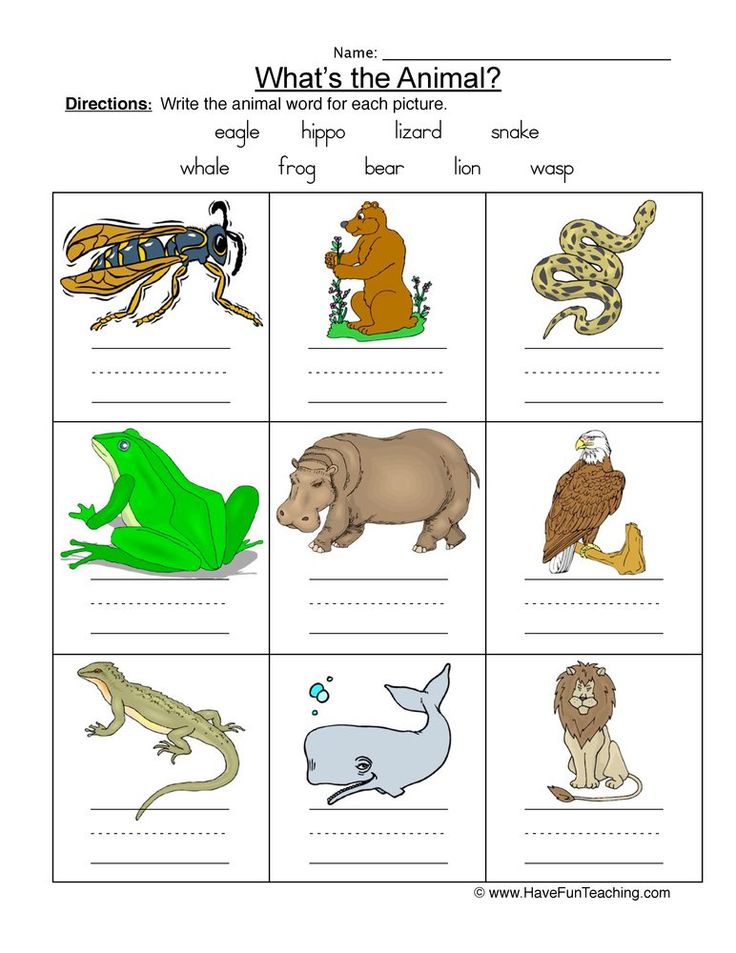 Labeling Animal Names Worksheets - WorksheetsCity