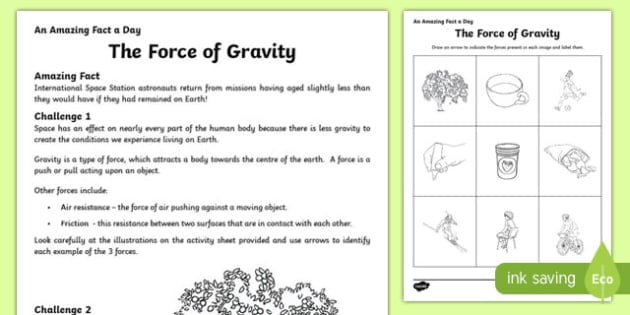 Gravity Or Friction Force Worksheets - WorksheetsCity