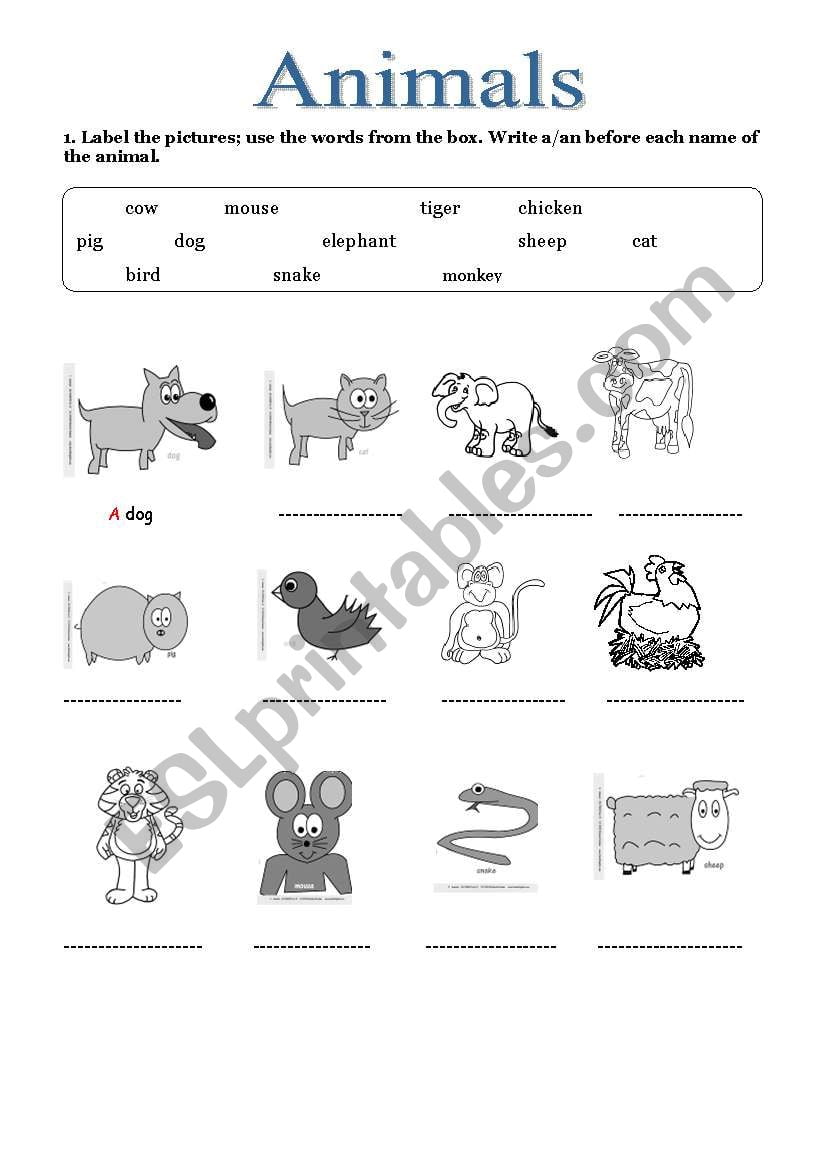 Labeling Animal Names Worksheets - WorksheetsCity