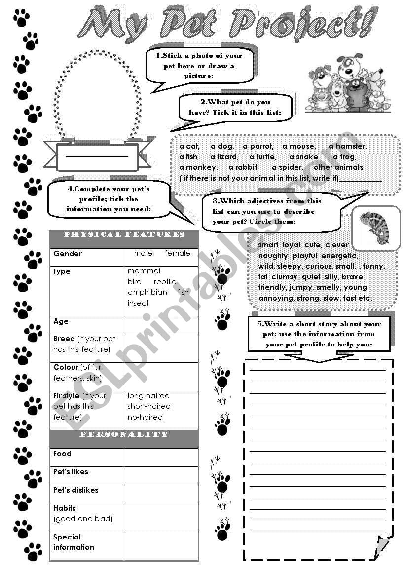 You Write The Story Lizard Picture Worksheets WorksheetsCity You Write The Story Lizard Picture Worksheets WorksheetsCity