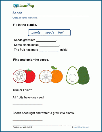 Seeds Plants Fill In The Blanks Worksheets - WorksheetsCity