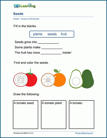 Seeds Plants Fill In The Blanks Worksheets - WorksheetsCity