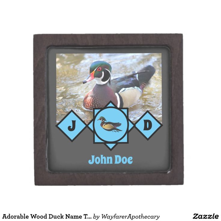 Ducks Desk Name Tags - WorksheetsCity