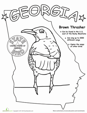 Georgia Worksheets - WorksheetsCity