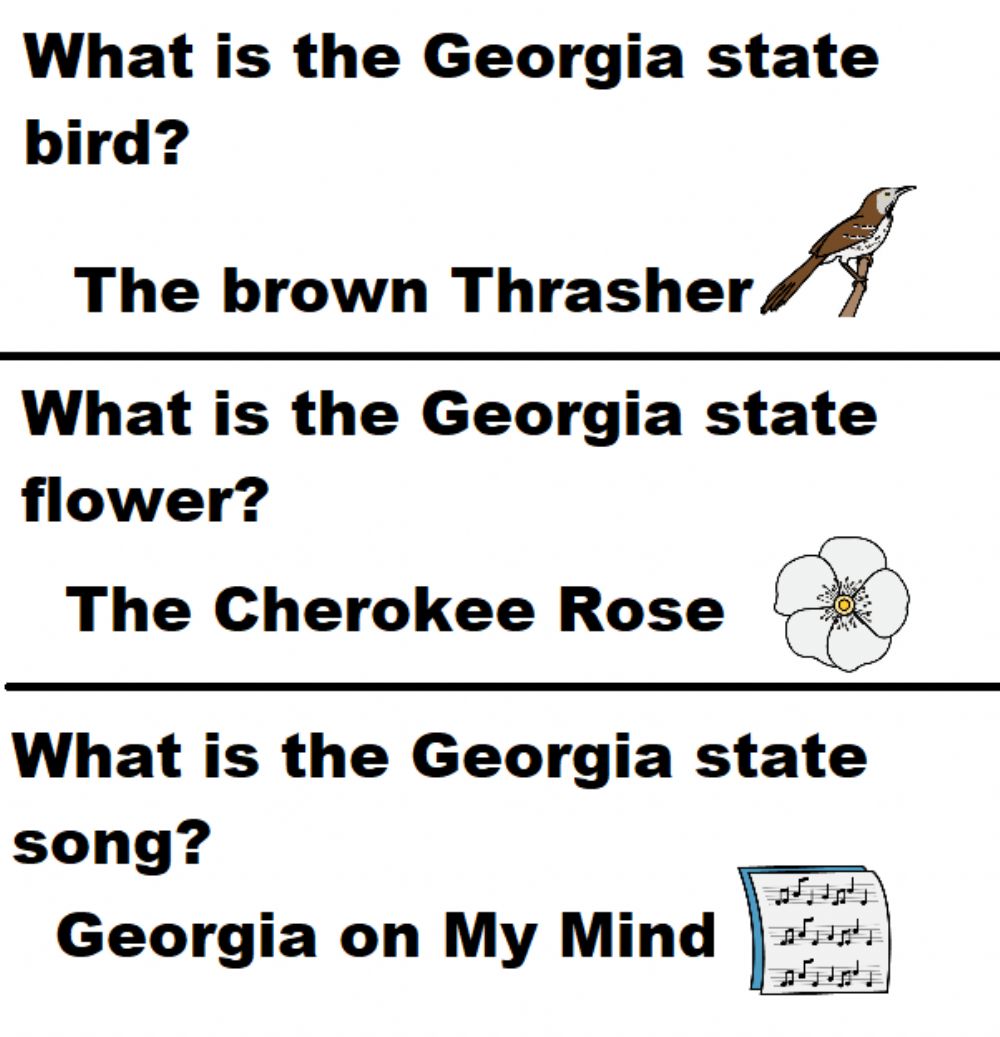 Georgia Worksheets - WorksheetsCity