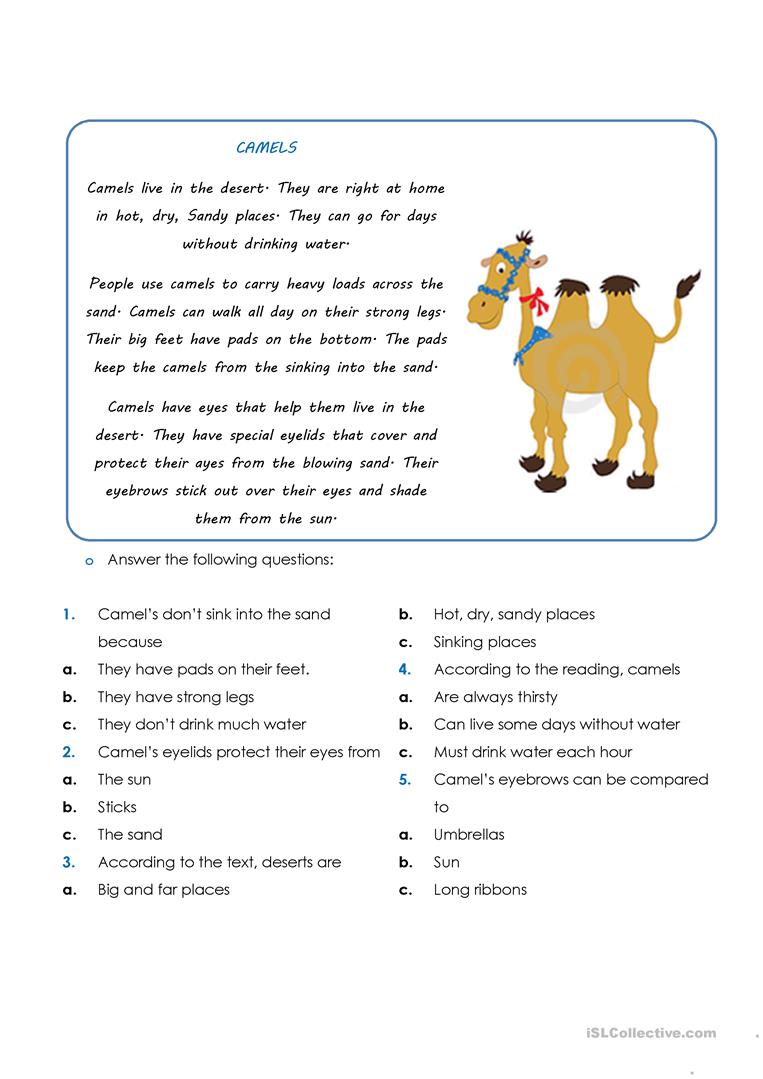 Drink Water Reading Comprehension Worksheets - WorksheetsCity