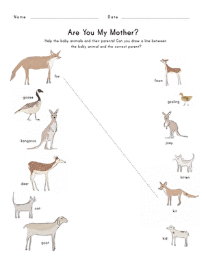 Baby Animals And Their Mothers Worksheetsr - WorksheetsCity